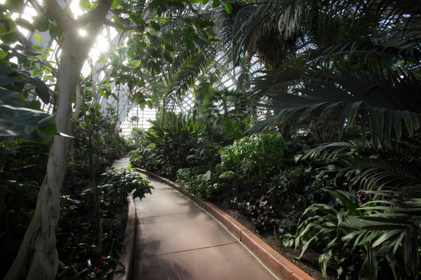 Fire & Ice: Tropical Conservatory Showcases Blazing Color In The Dead ...