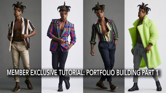Member Exclusive: Model Portfolio Building Part 1